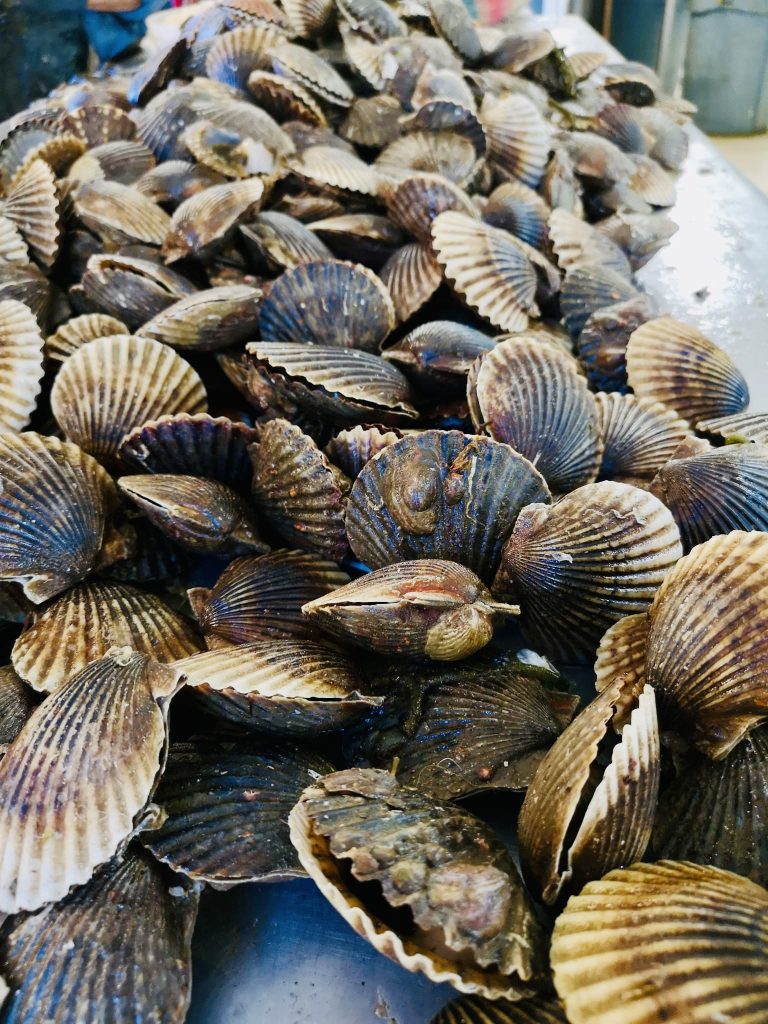 Cherishing what we have: a reflection on Peconic Bay scallops - North ...